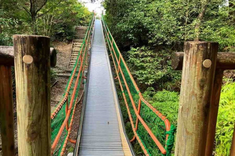 【春休みは京都宇治へ】春は茶摘み、桜まつり、アウトドアも充実[PR] | Lmaga.jp