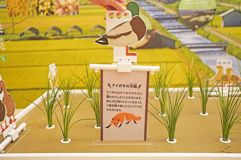 無料！万博「兵庫県パビリオン」は夢洲の外が本体！？展示が充実のワケ | Lmaga.jp